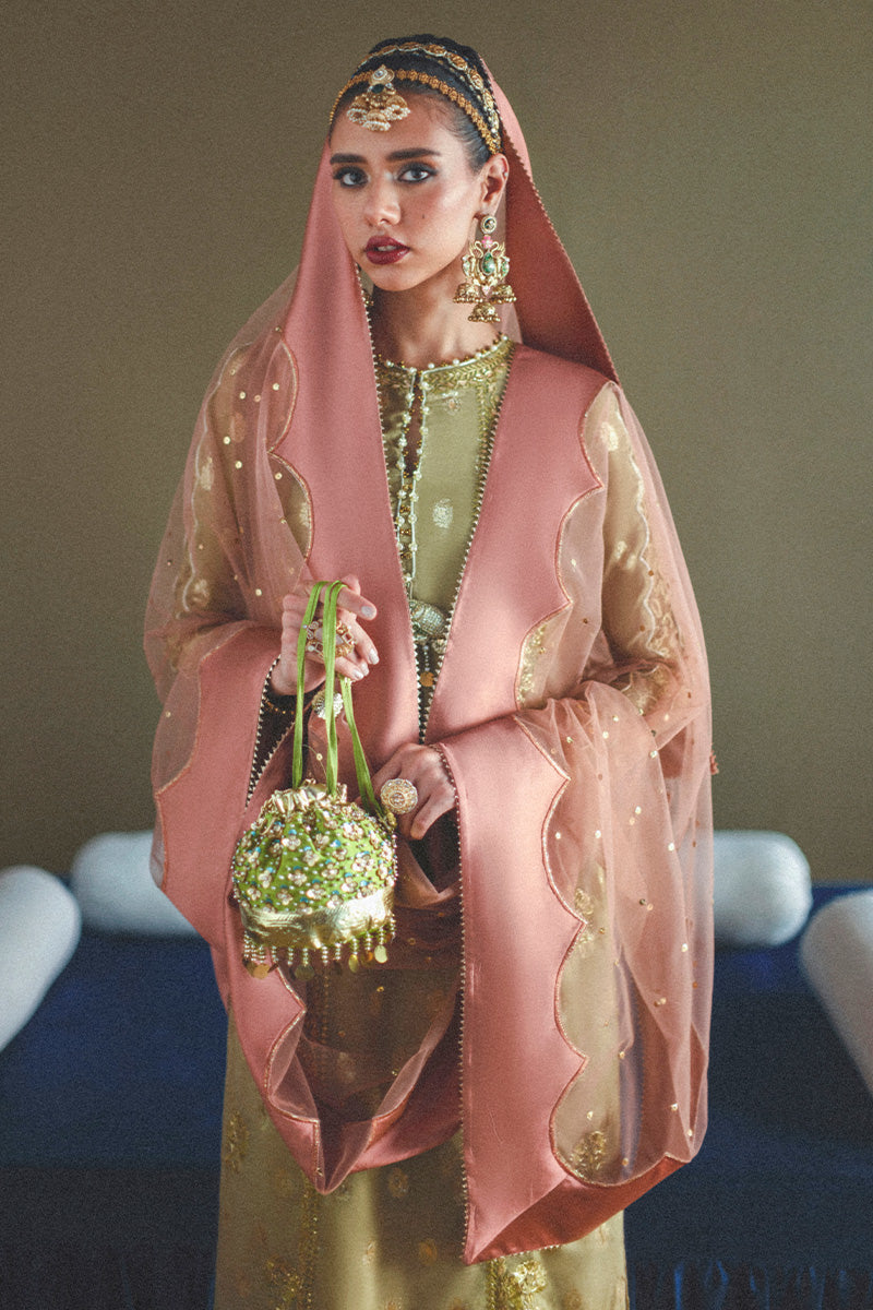 Haute Form I Dastaan Luxury Formals I Rumi – Hoorain Designer Wear