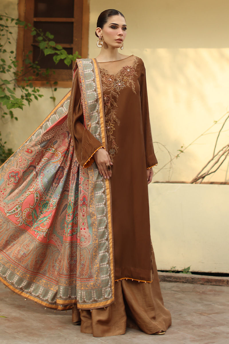 Aisha Imran | Printed Panache Velvet Shawls 25 | Myra Shirt and Pants ...