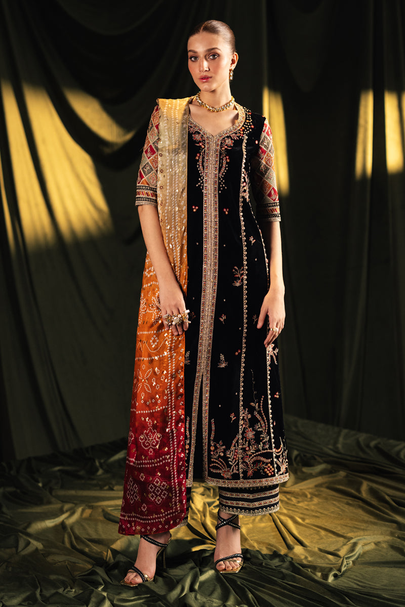 Qalamkar | Velvet Edit | BK-06 ZOLA – Hoorain Designer Wear
