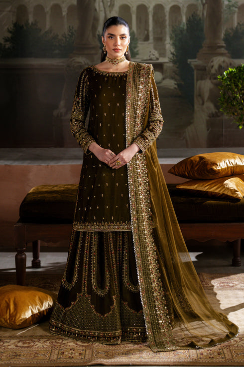 Naqshi | Nazleen Velvet | Danara – Hoorain Designer Wear